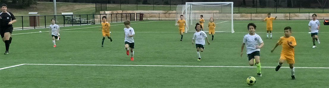 Summer | Strathfield Football Club